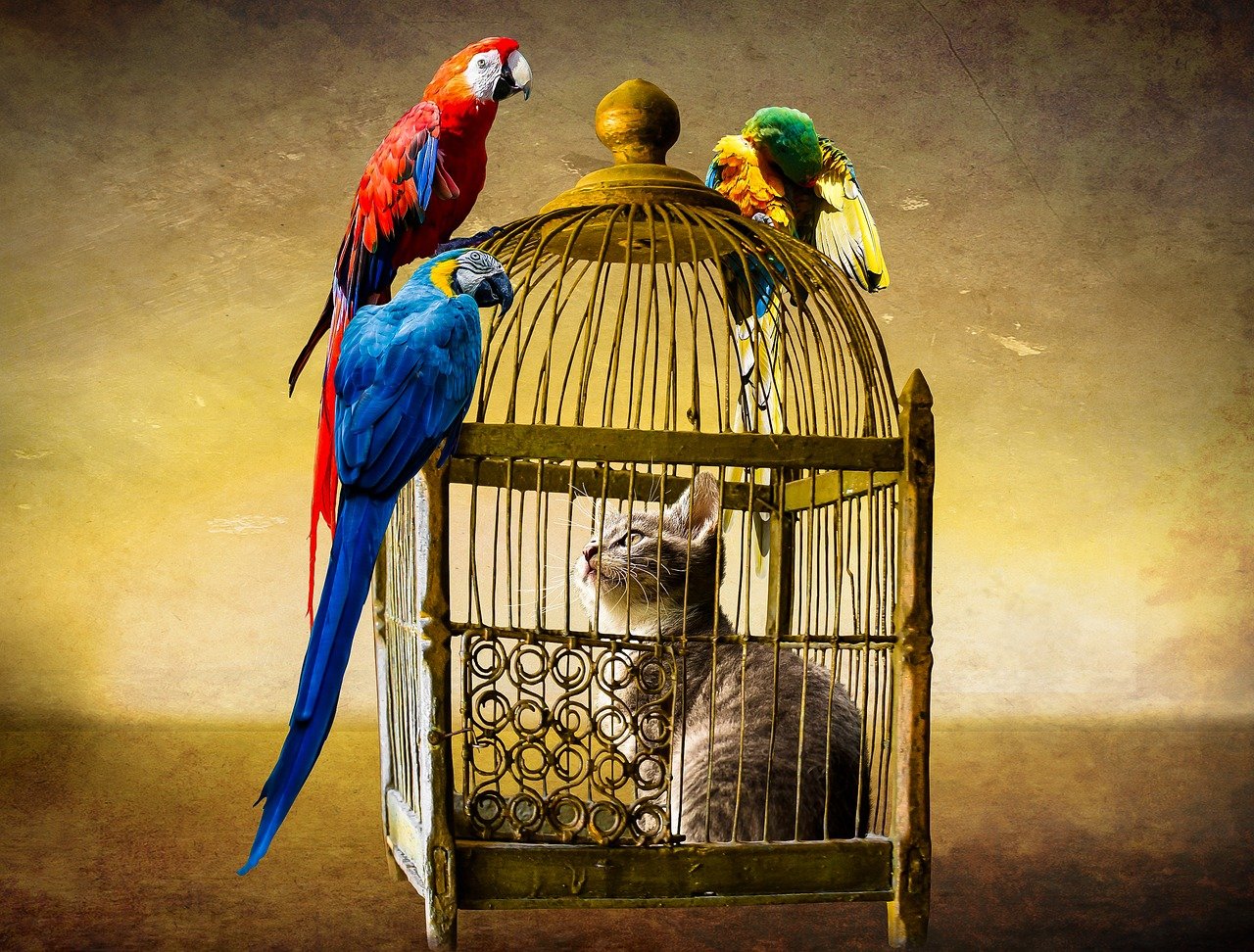 The Magic of Familiars: Mystical Animals in Fiction Through the Ages ...